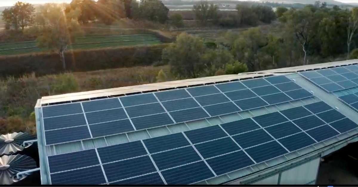 Payment plan delivers significant cashflow benefits to farming business ...